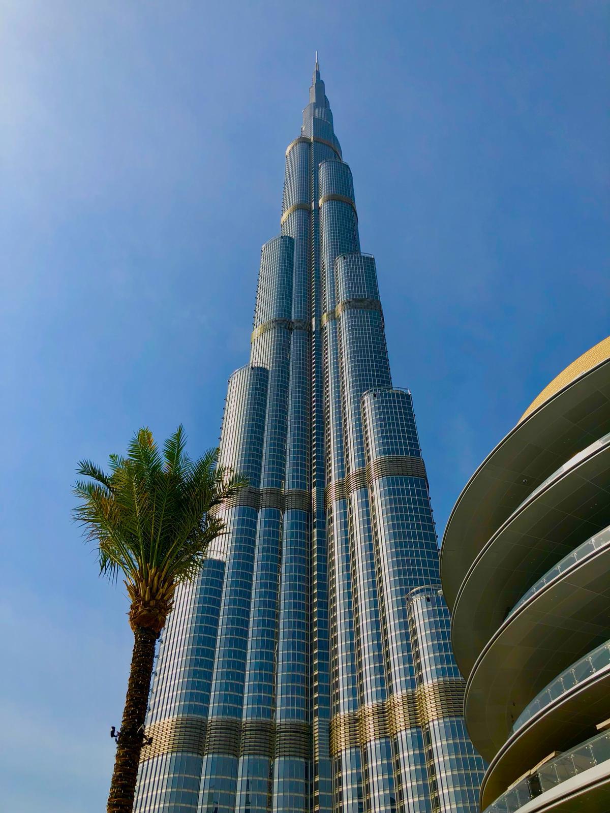 Top 5 Things To Do In Dubai With Children Kensington Mums Top 5 Things To Do In Dubai With Children Kensington Mums